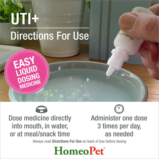 UTI+ – HomeoPet